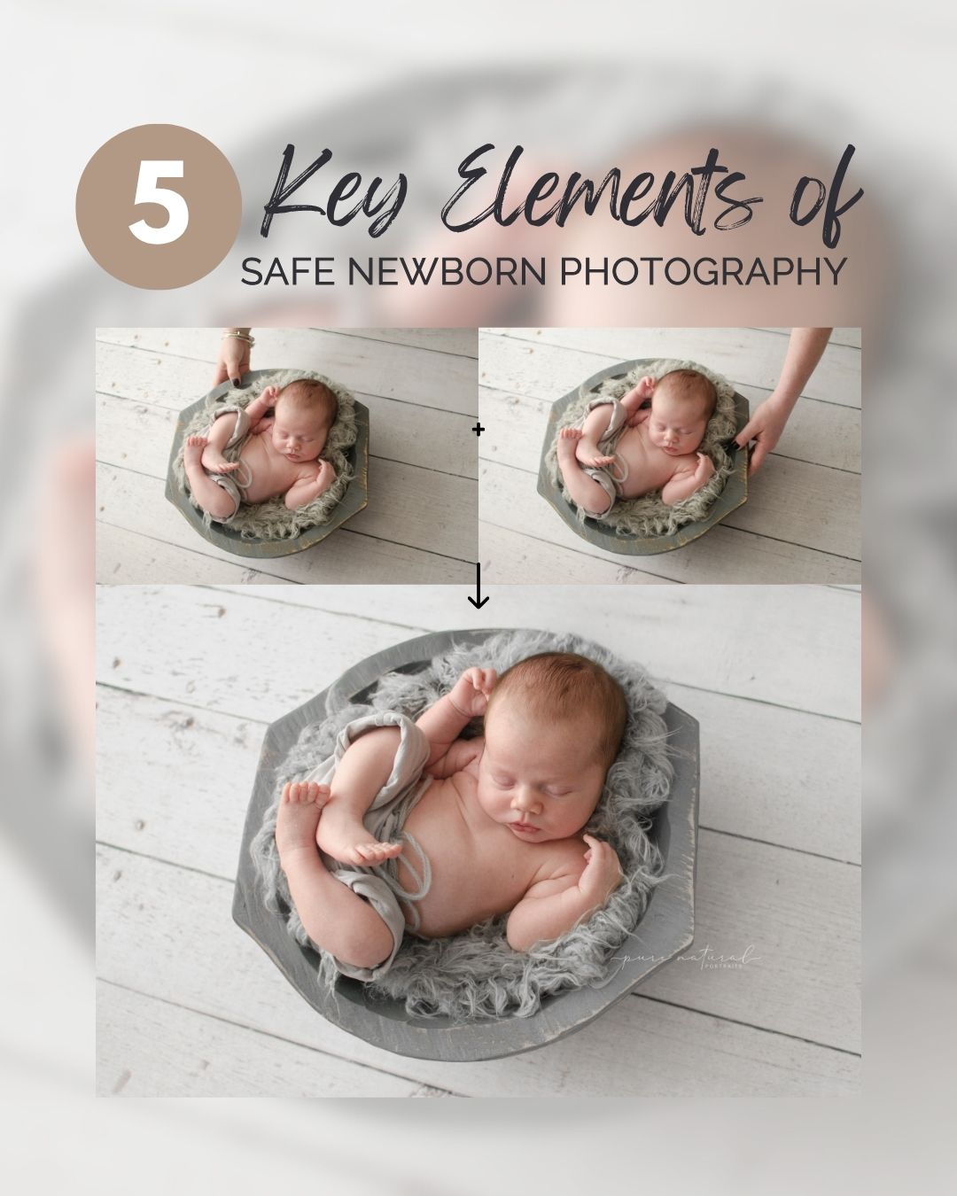 5 Key Elements of Safe Newborn Posing - Pure Natural Portraits